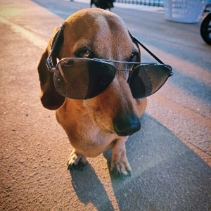 Do It For Cancer - Jinibara State School