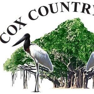 Do It For Cancer - Cox Country Club - Month of October